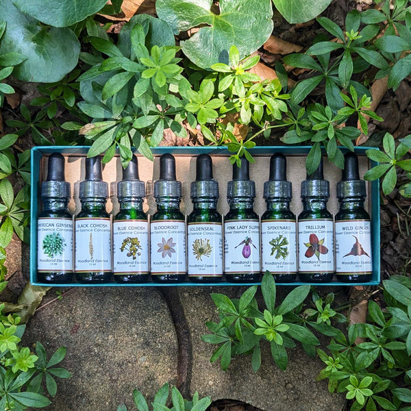 Set of At-Risk Flower Essences – Woodland Essence