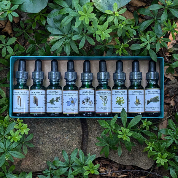 Set of Tree I Flower Essences – Woodland Essence