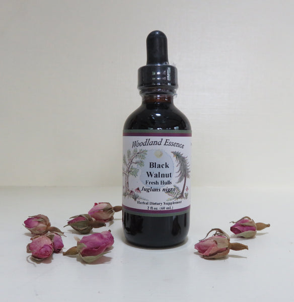 Black Walnut Extract – Woodland Essence