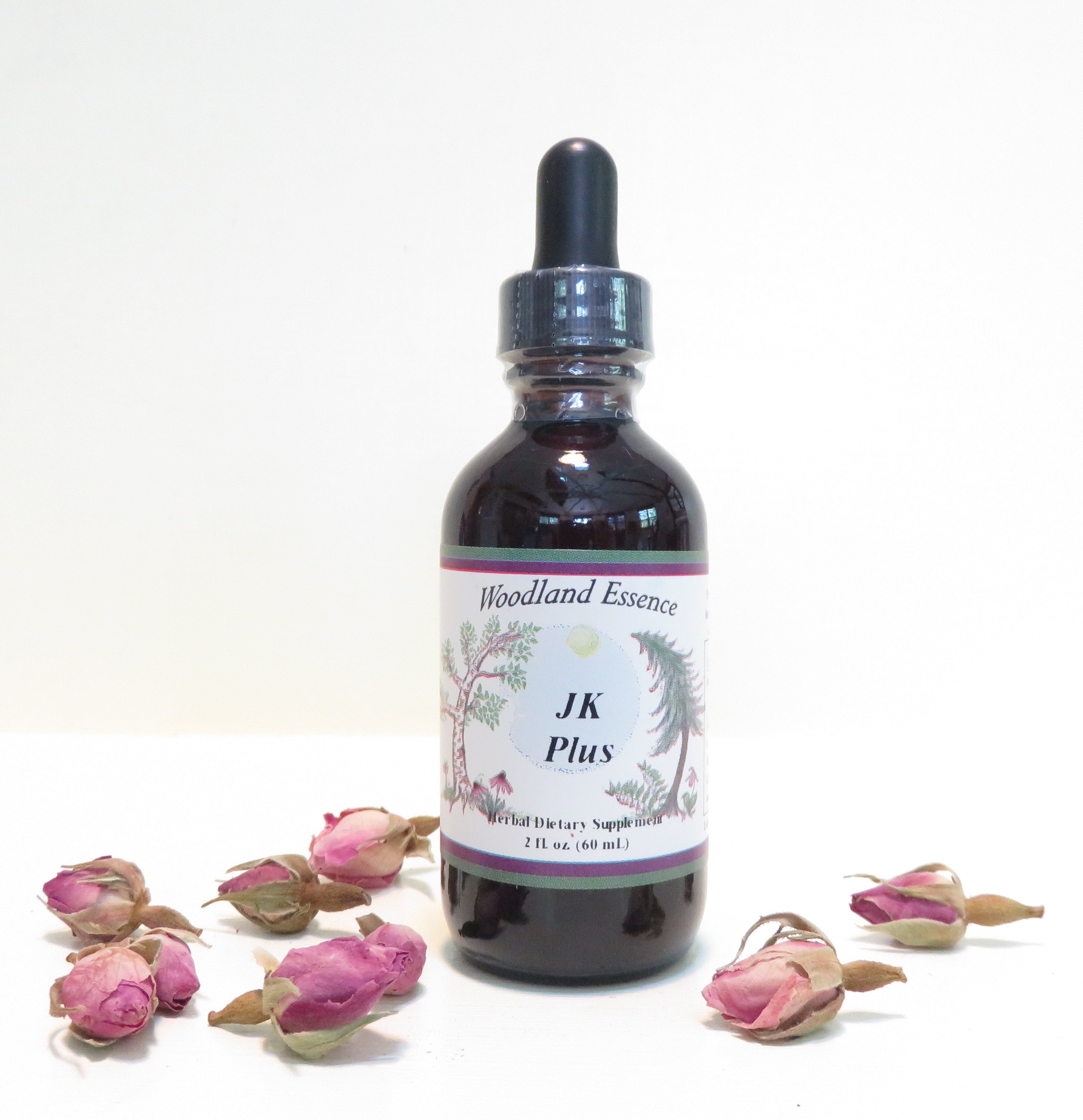 Japanese Knotweed PLUS Extract – Woodland Essence