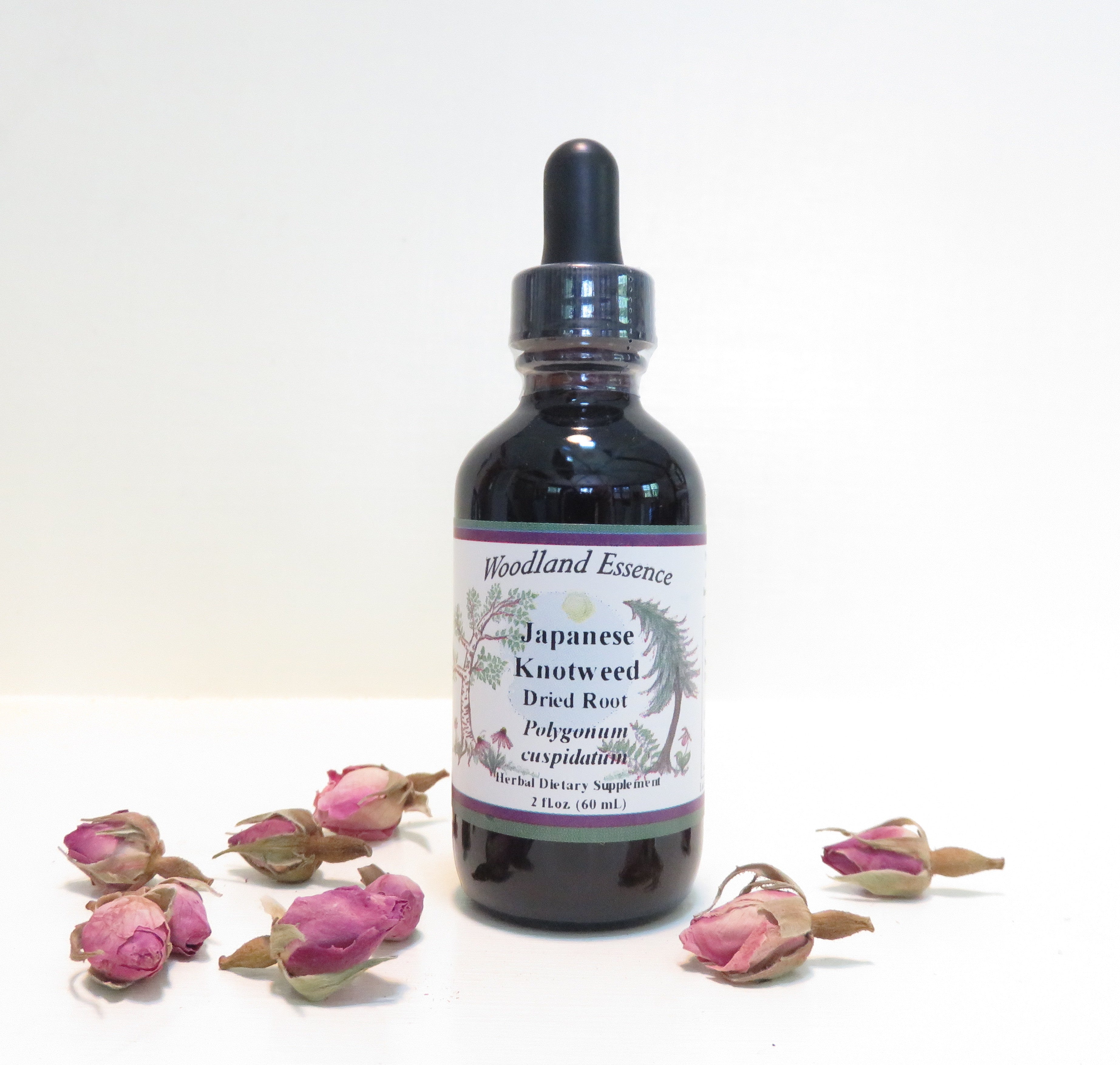 Japanese Knotweed Extract – Woodland Essence