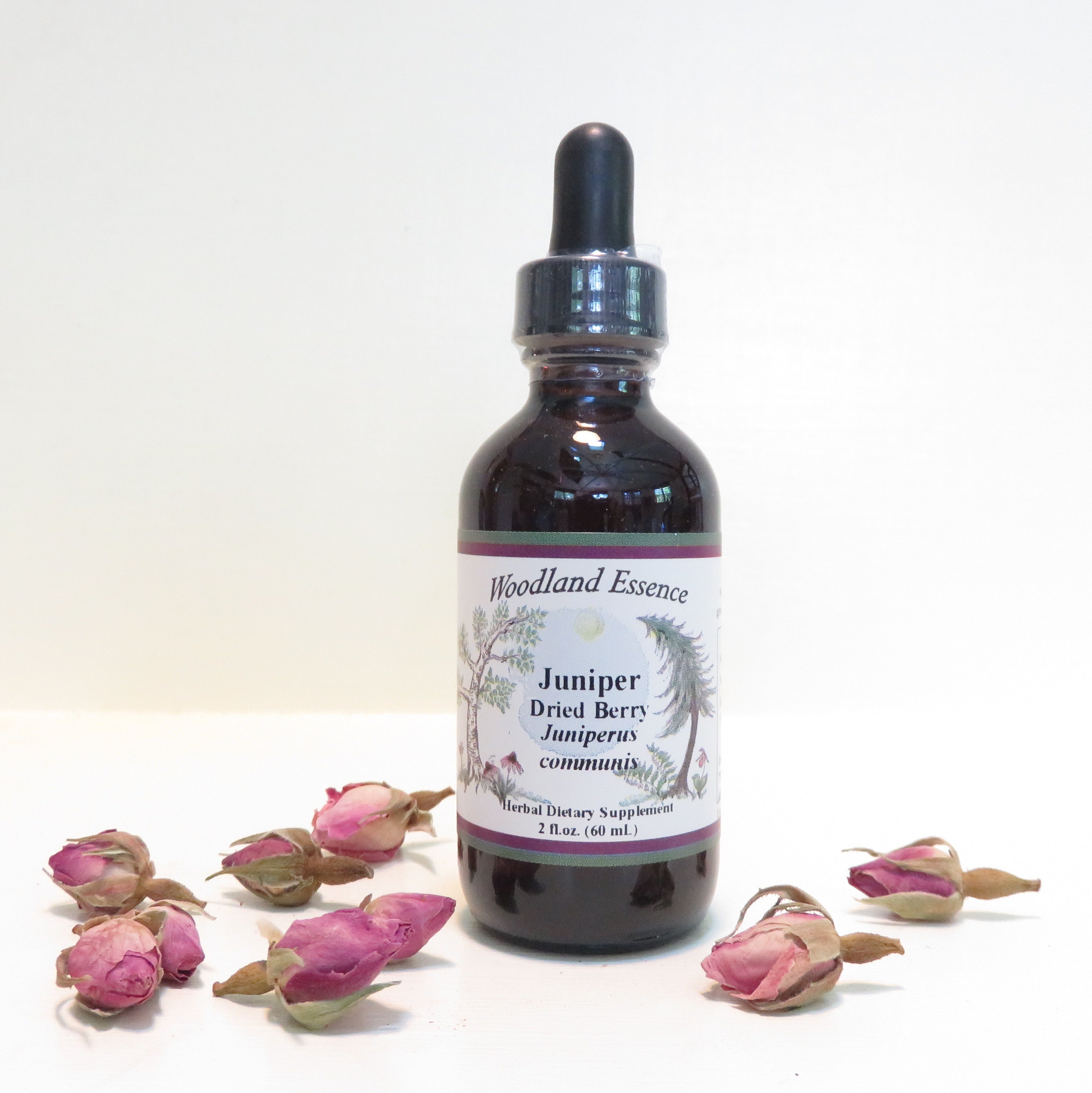 Juniper Berry Extract – Woodland Essence