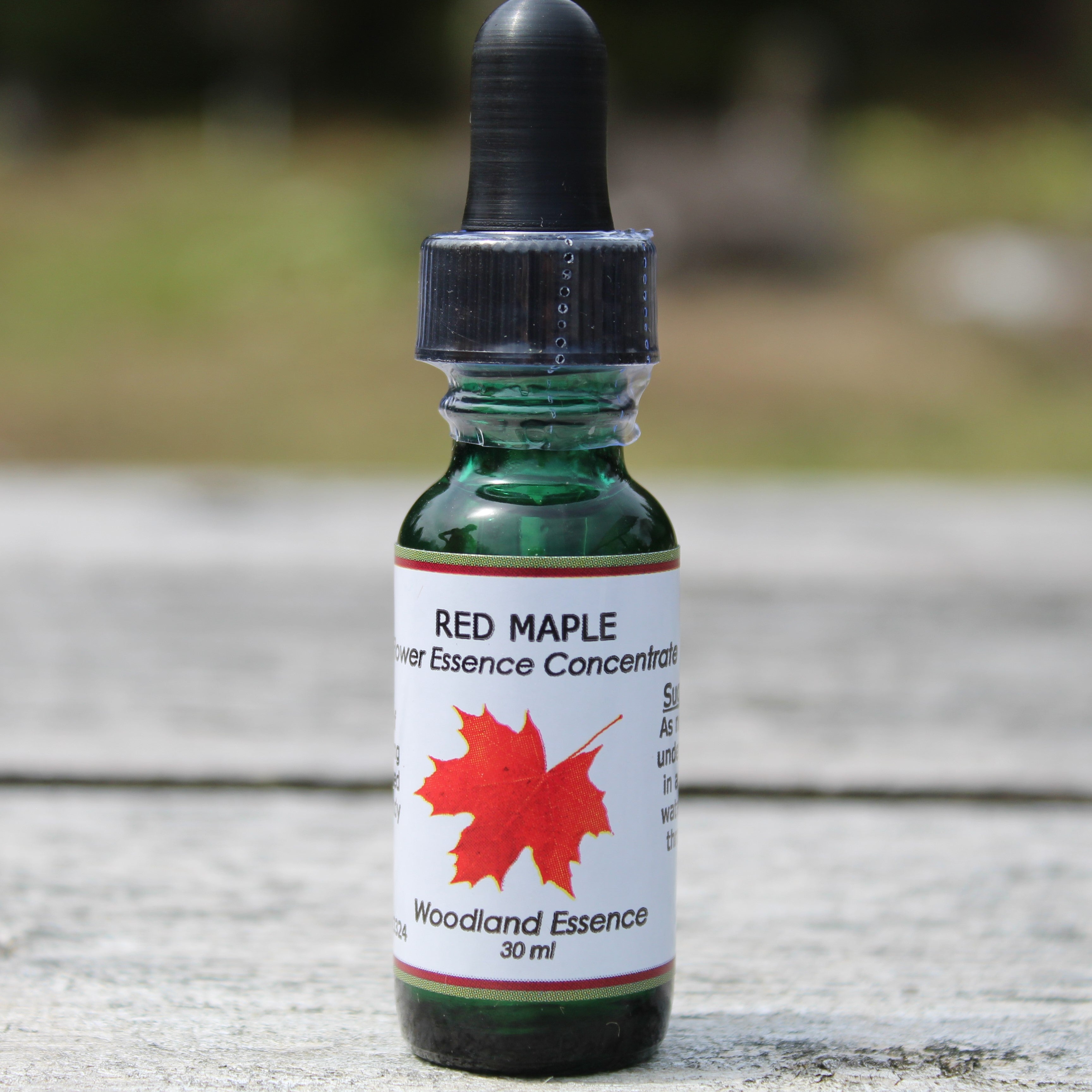 Red Maple Flower Essence – Woodland Essence