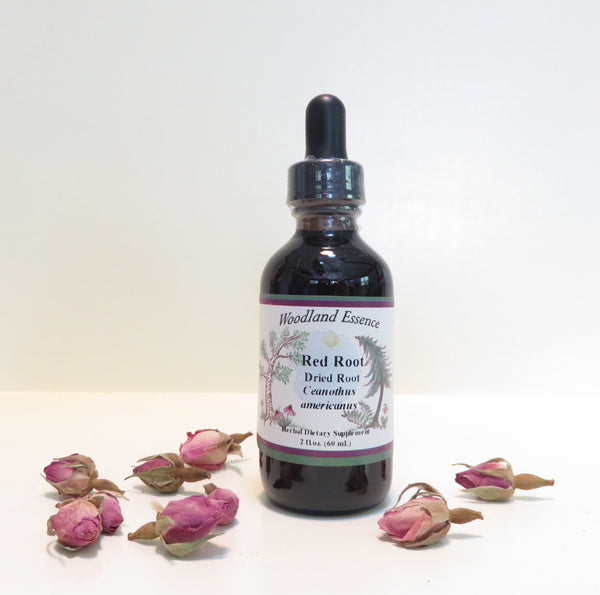 Red Root Extract – Woodland Essence