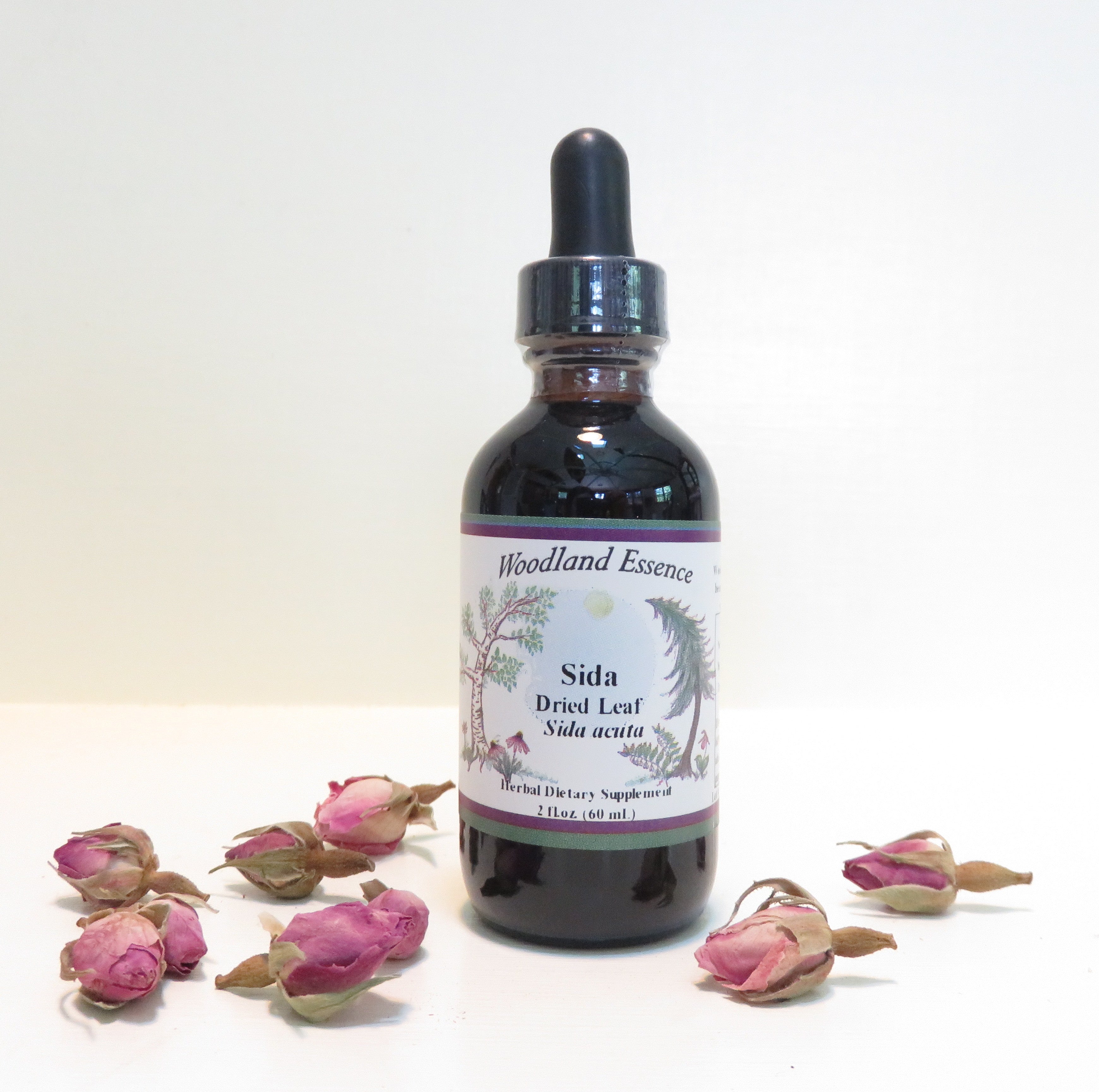 Sida Acuta Extract – Woodland Essence